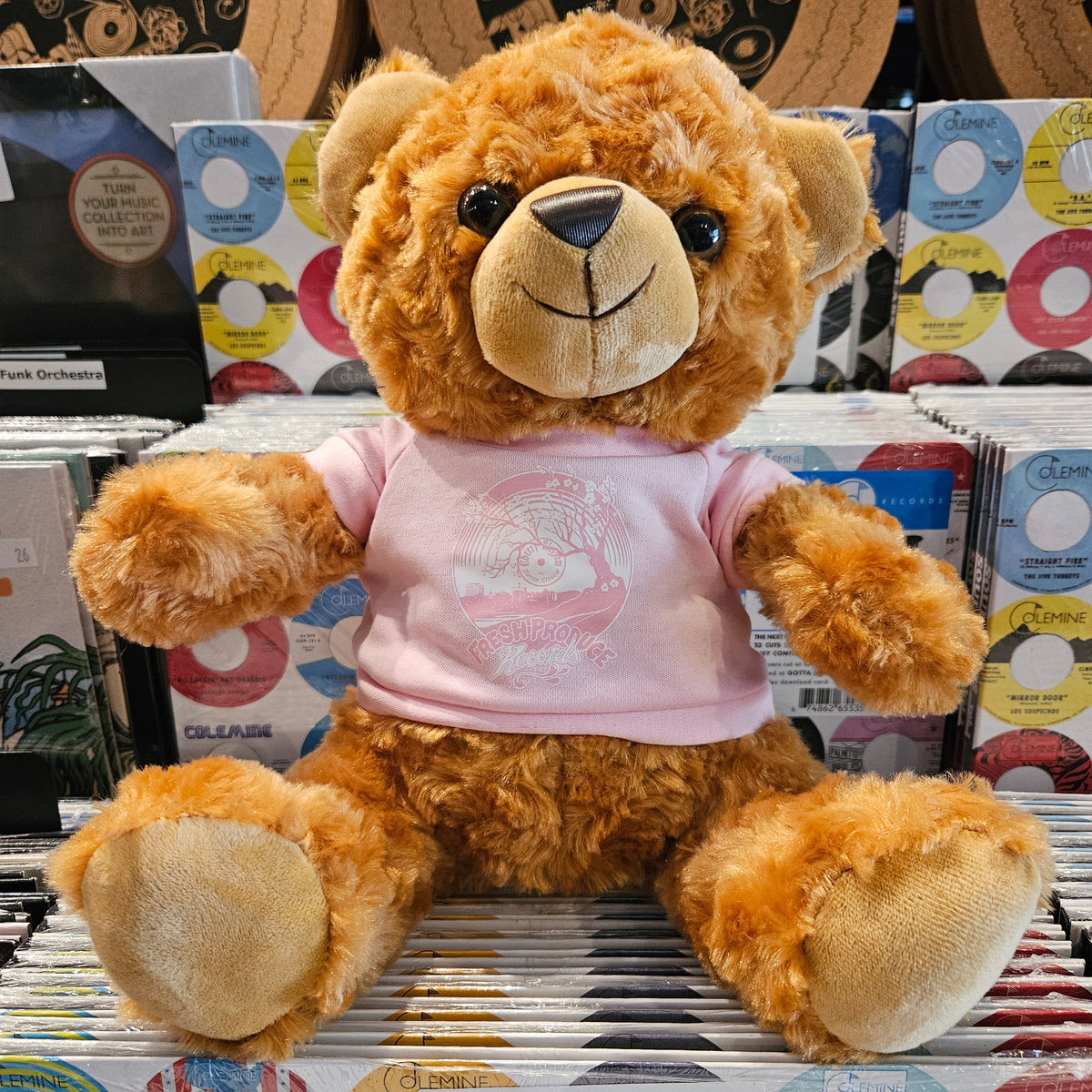Fresh Produce Records Teddy Bear - Cherry Blossom Pink Shirt – Fresh ...